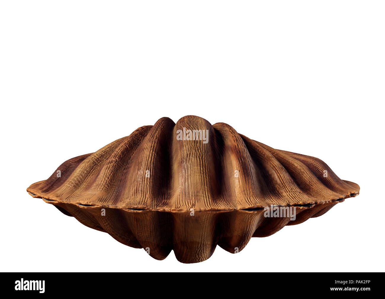 3d illustration of a seashell on a white background Stock Photo - Alamy