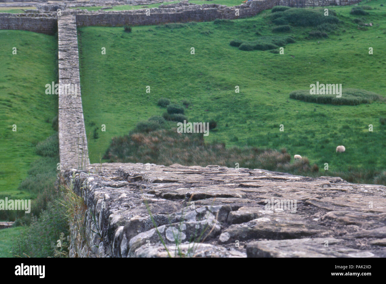 Roman empire border hi-res stock photography and images - Alamy
