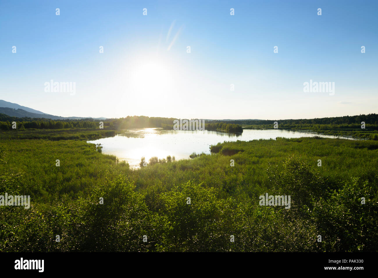 Moos germany hi-res stock photography and images - Alamy