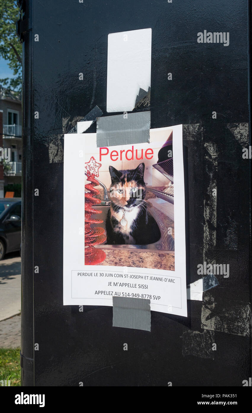 Lost cat notice hi-res stock photography and images - Alamy