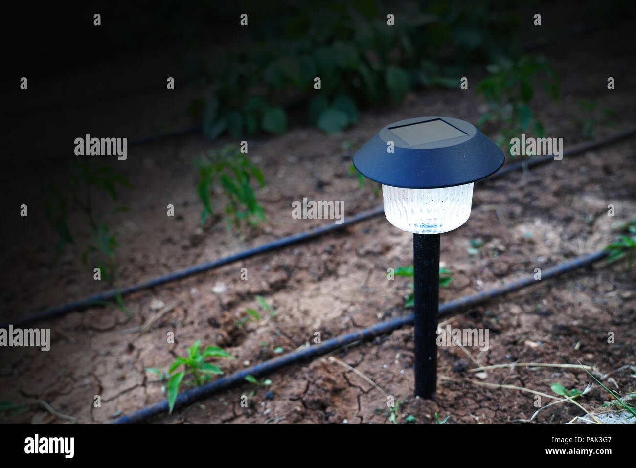Solar decorative spot light Spotlight put in ground in garden Stock ...