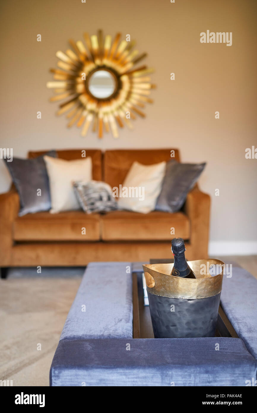 David Wilson Homes open the show homes to their Lightfoot Meadow ...