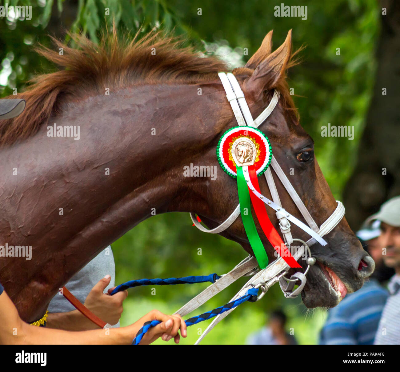 PYATIGORSK, RUSSIA - JULY 22, 2018:Winner of the prize of the First ...