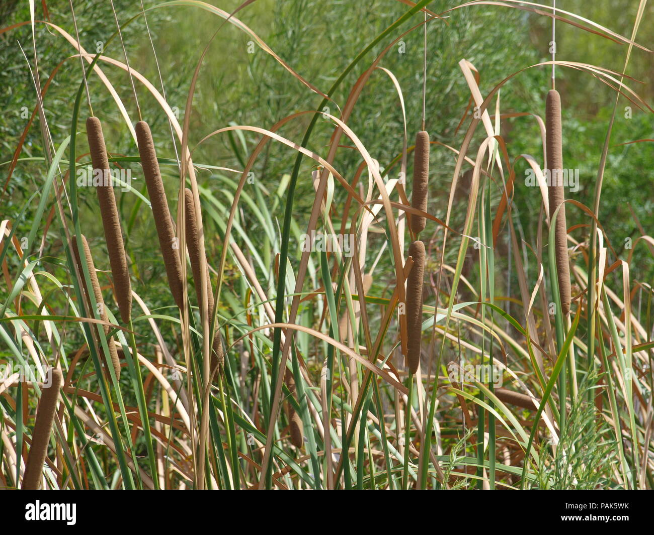 Around Town Part 2 Stock Photo - Alamy