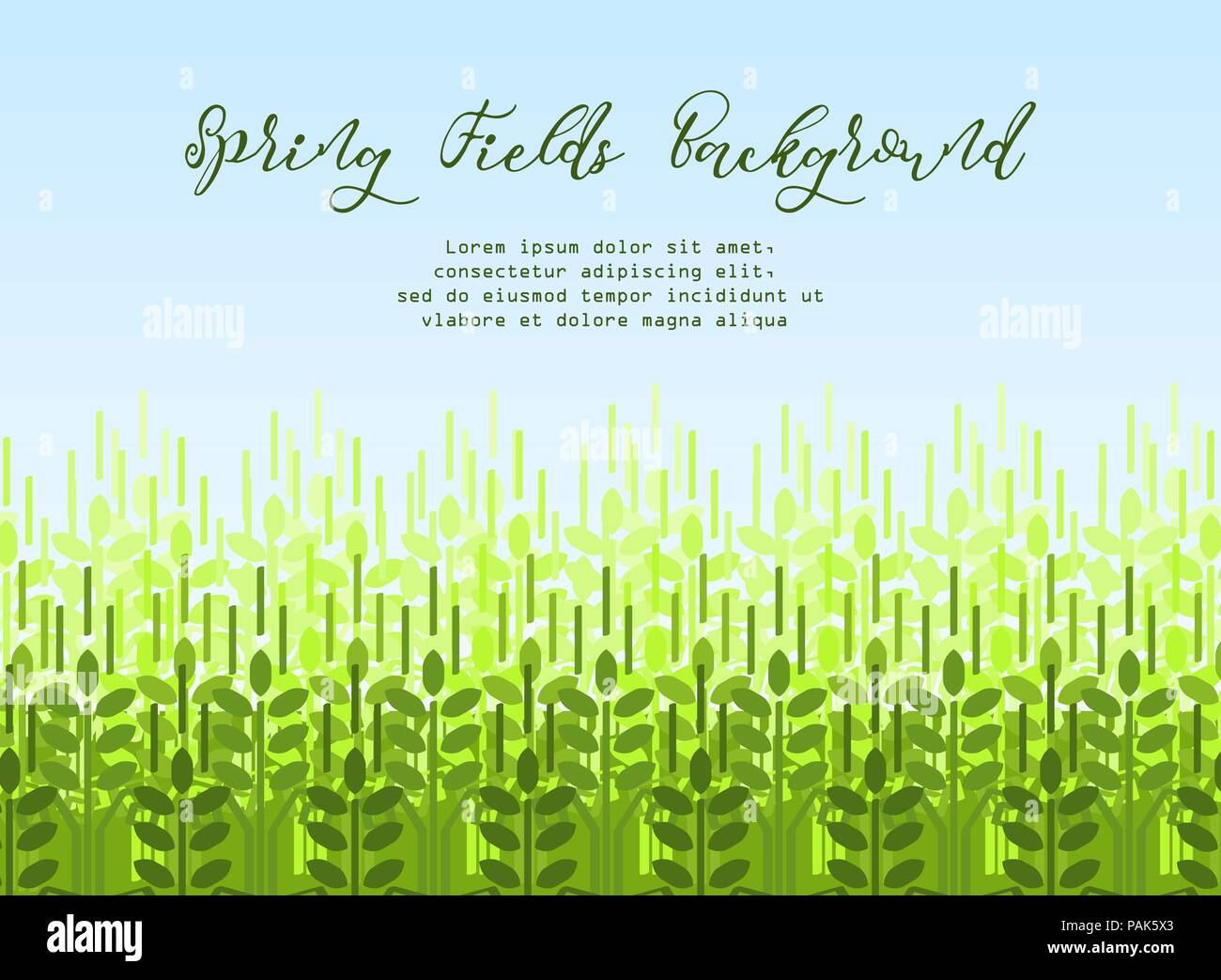 Wheat grain background. Spring agro pattern Stock Vector Image & Art ...