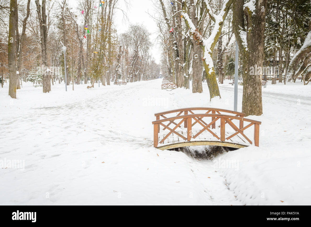 Cluj-Napoca central park during winter with a bridge in focus and snow ...