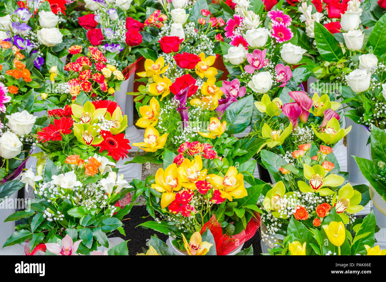 Flowers on display at a flower shop aranged like a pattern with lots of ...