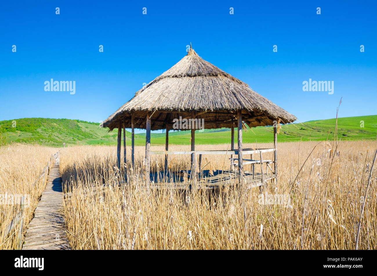 Wood and reed hut in a reed field with an old wood path and green hills ...
