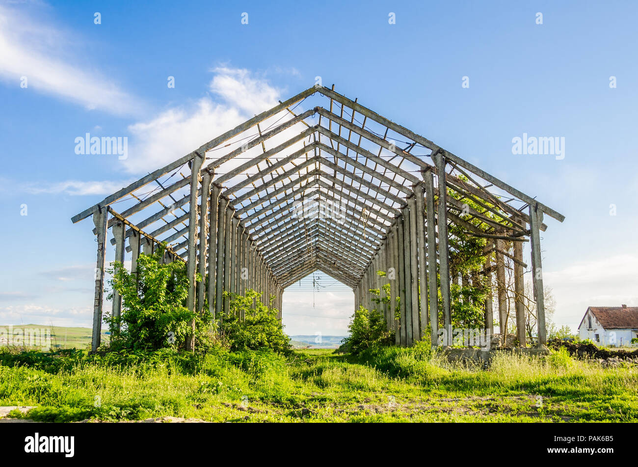 Old abandoned wrecked industrial farm building in an agriculture area ...
