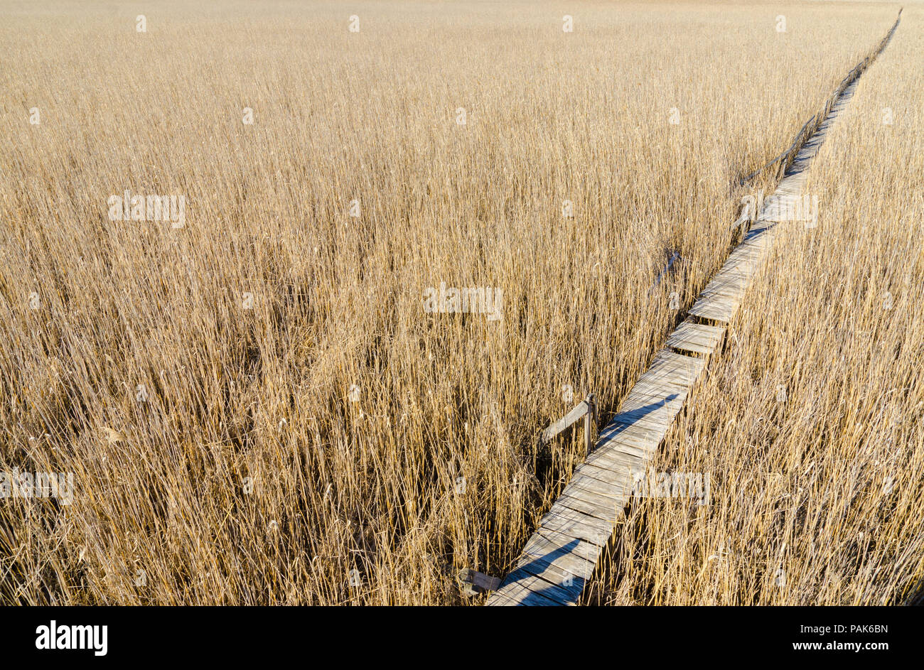 Diagonal line planks in hi-res stock photography and images - Alamy