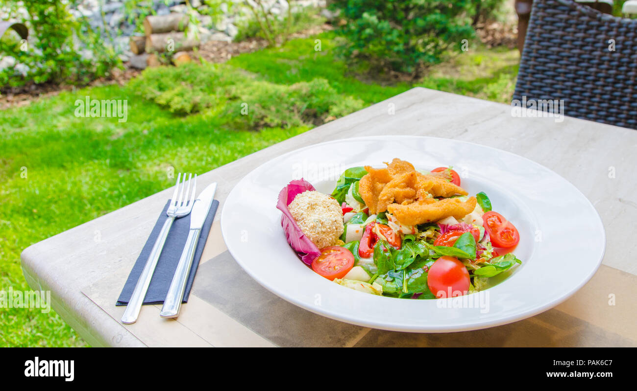 Chicken salad in the garden Stock Photo - Alamy