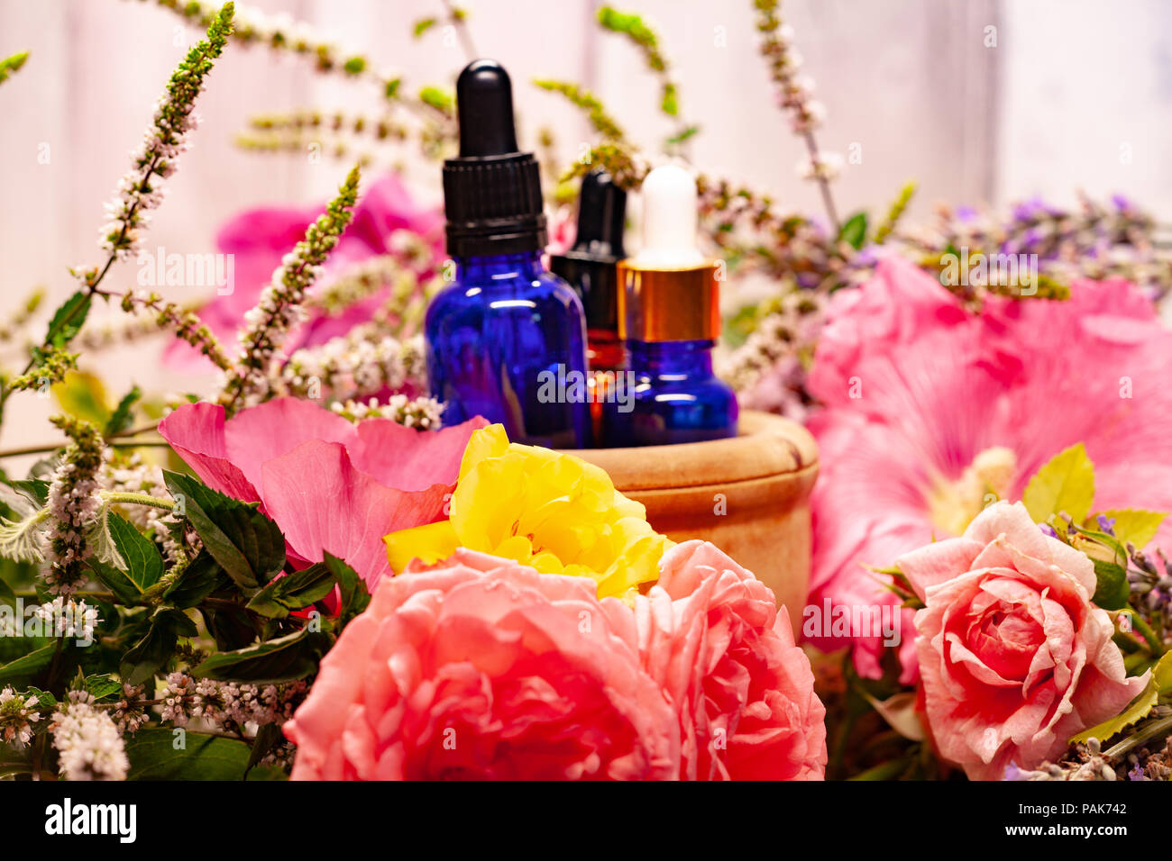 flowers and bottles of essential oils for aromatherapy Stock Photo - Alamy