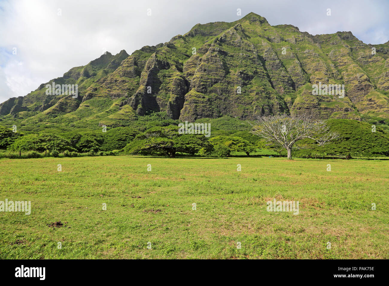 Kualoa dramatic cliffs - Oahu, Hawaii Stock Photo - Alamy