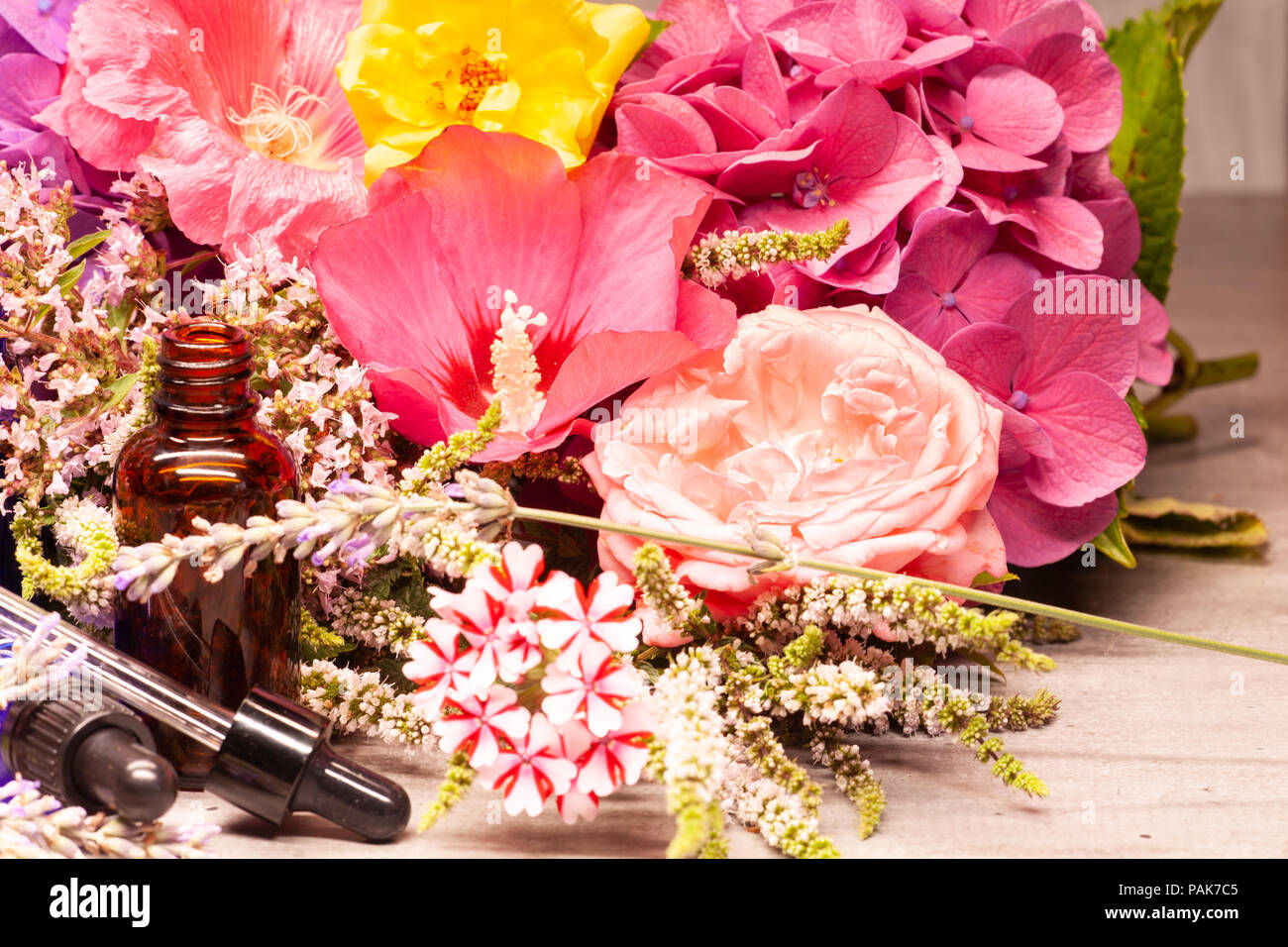 flowers and bottles of essential oils for aromatherapy Stock Photo - Alamy