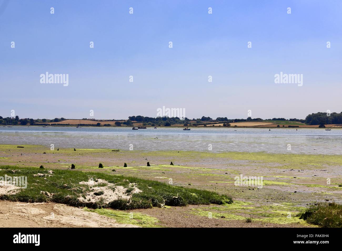 Nacton suffolk hi-res stock photography and images - Alamy