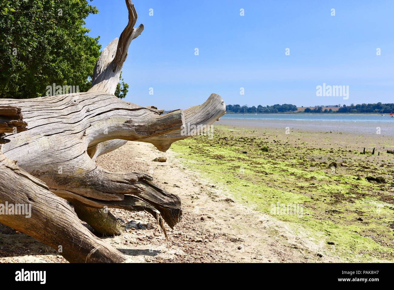 Nacton shores hi-res stock photography and images - Alamy