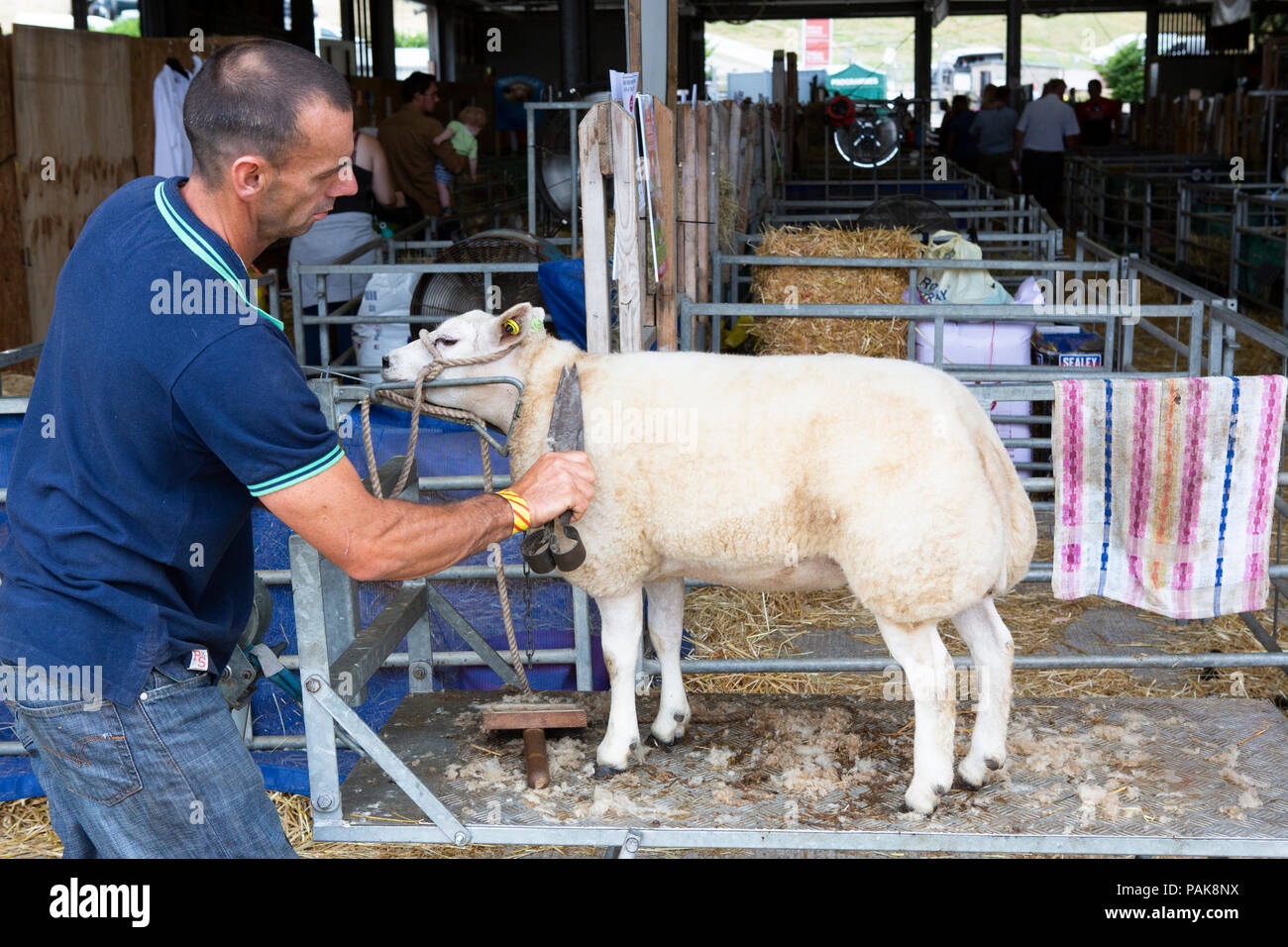 Show preparation hi-res stock photography and images - Alamy
