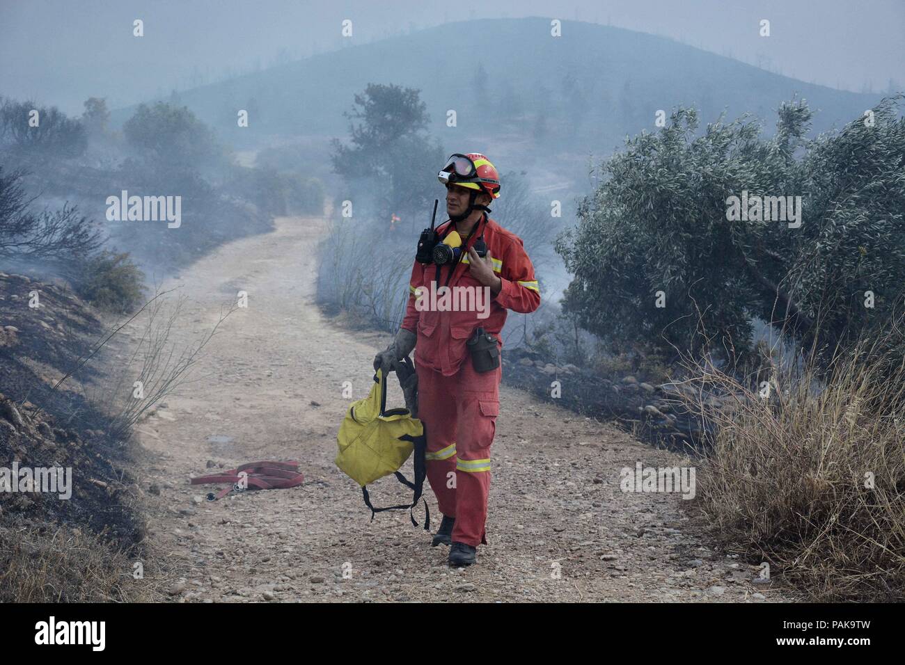Athens, Greece. 23rd July 2018. A firefighter seen during the wildfire ...