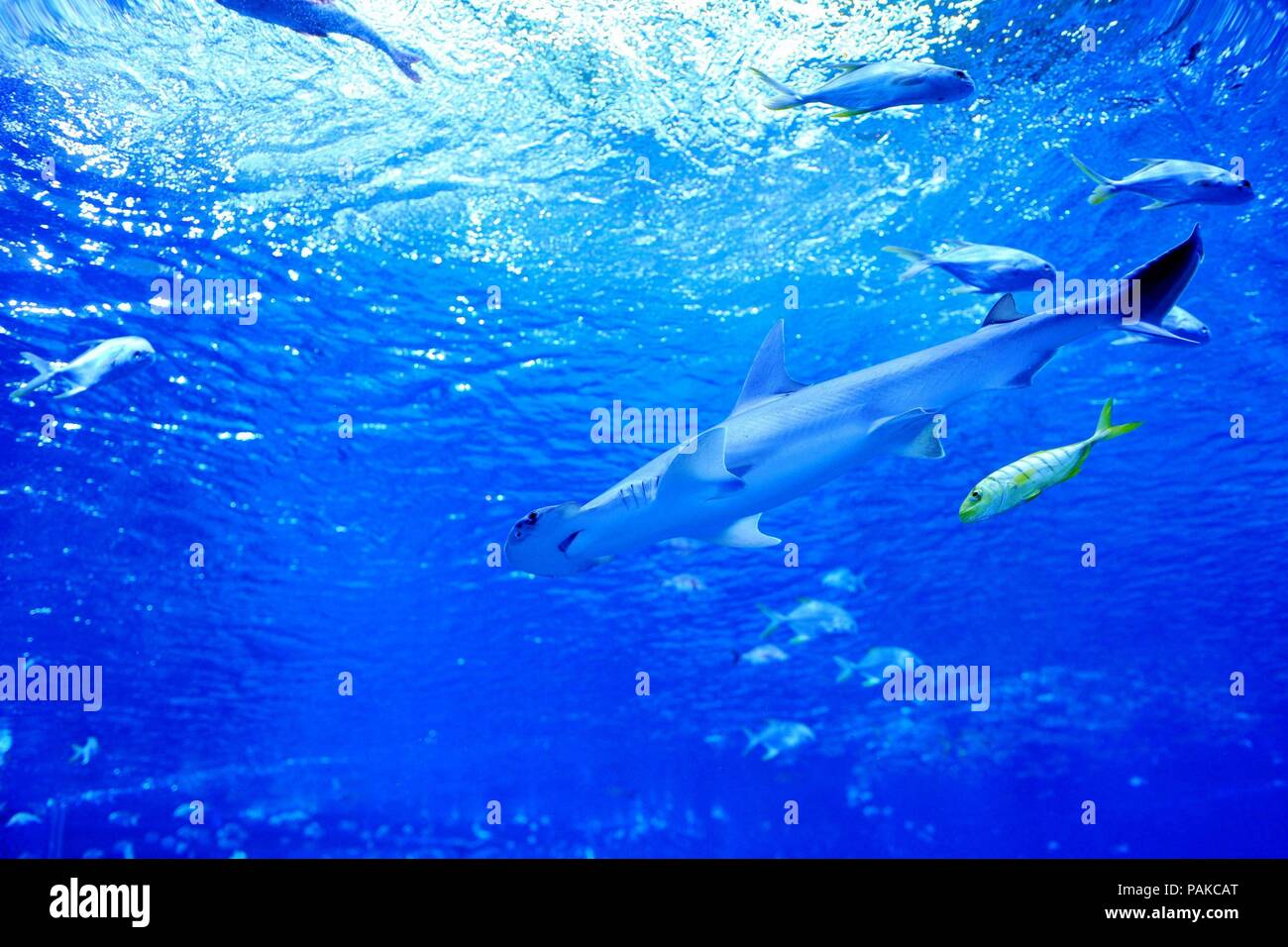 Rizhao in shandong province china hi-res stock photography and images ...