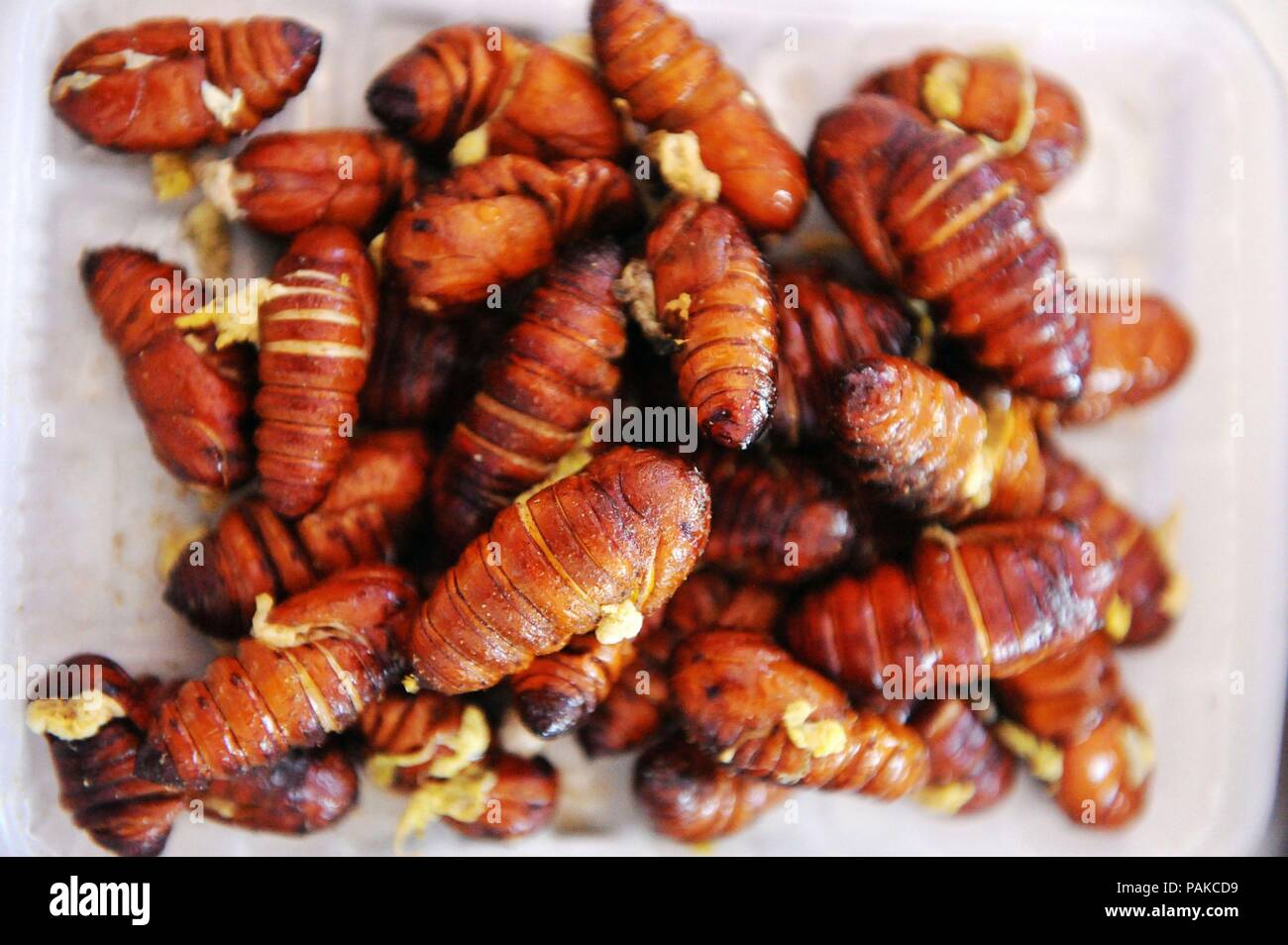 Including grasshoppers hi-res stock photography and images - Alamy