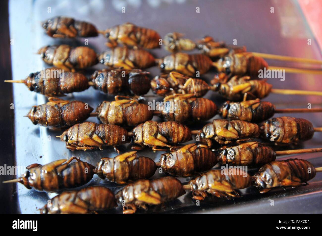China. 24th July, 2018. Qingdao, CHINA-Fried insects including ...