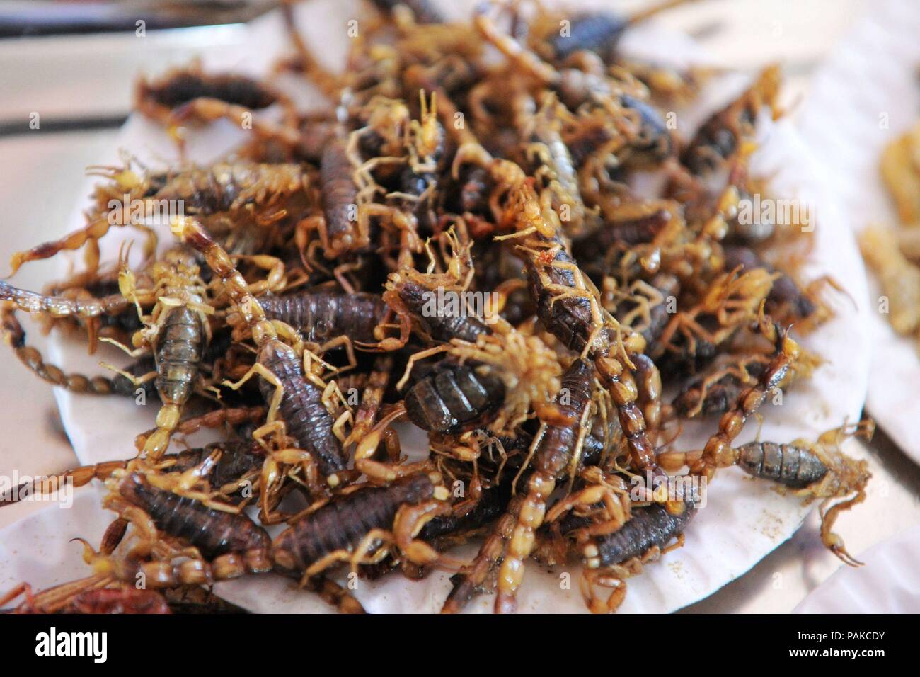 Including grasshoppers hi-res stock photography and images - Alamy