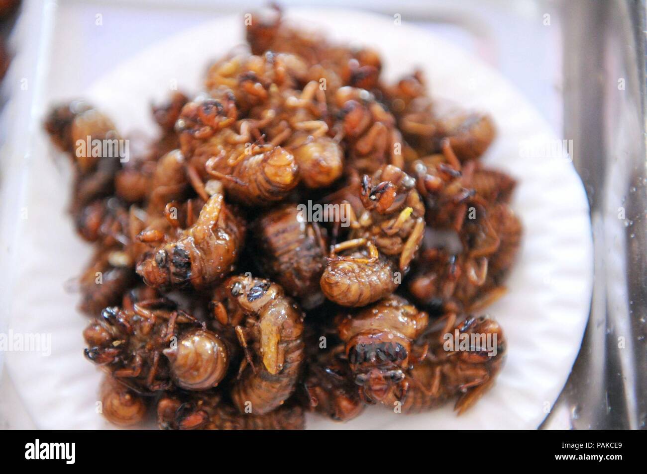 Including grasshoppers hi-res stock photography and images - Alamy