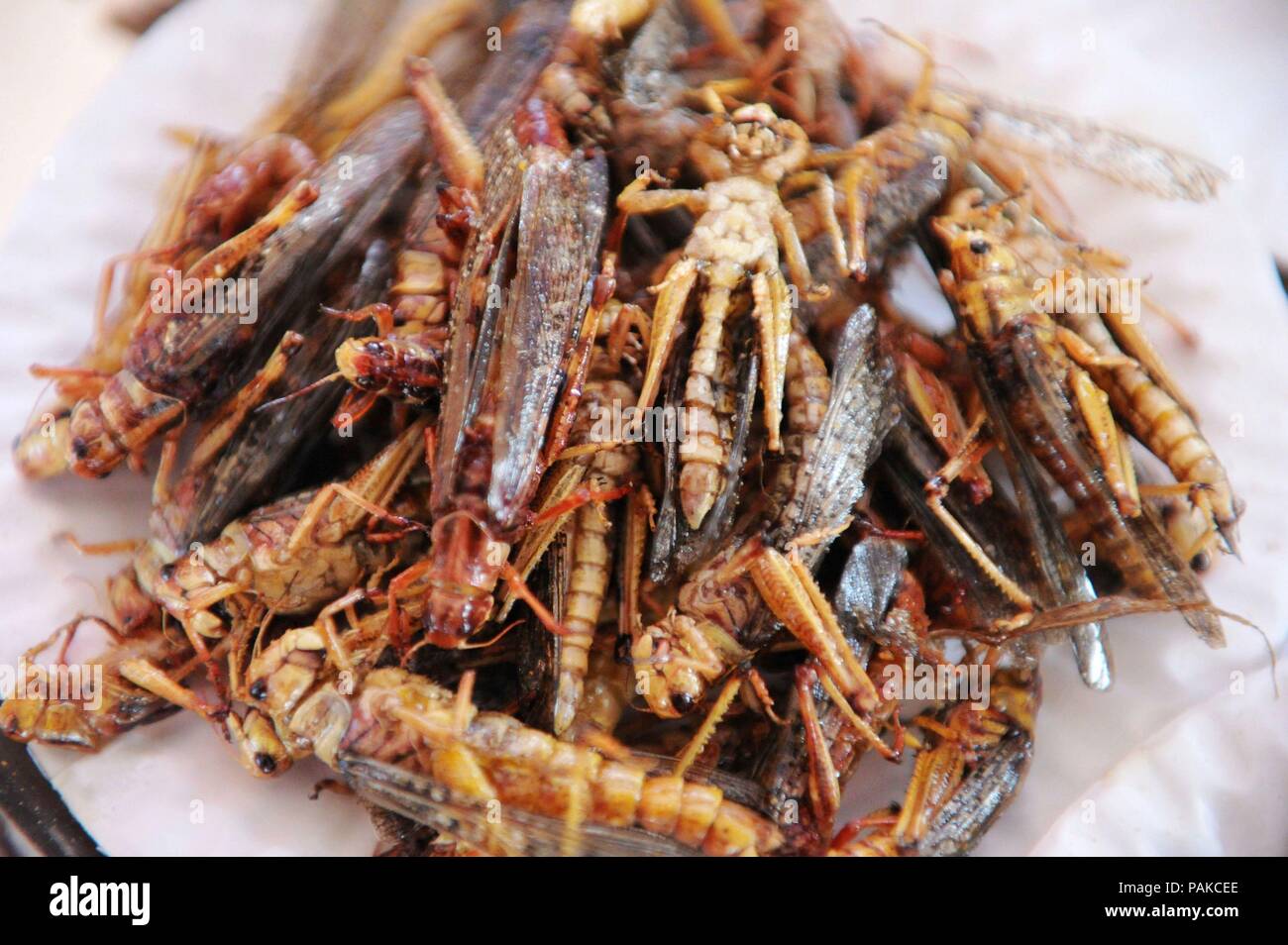 China. 24th July, 2018. Qingdao, CHINA-Fried insects including ...