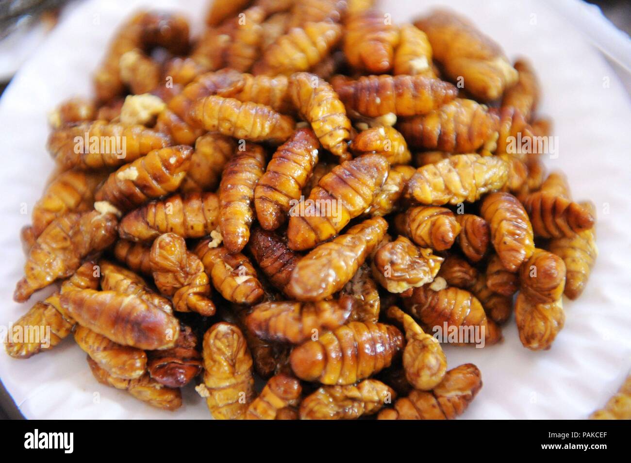 Including grasshoppers hi-res stock photography and images - Alamy