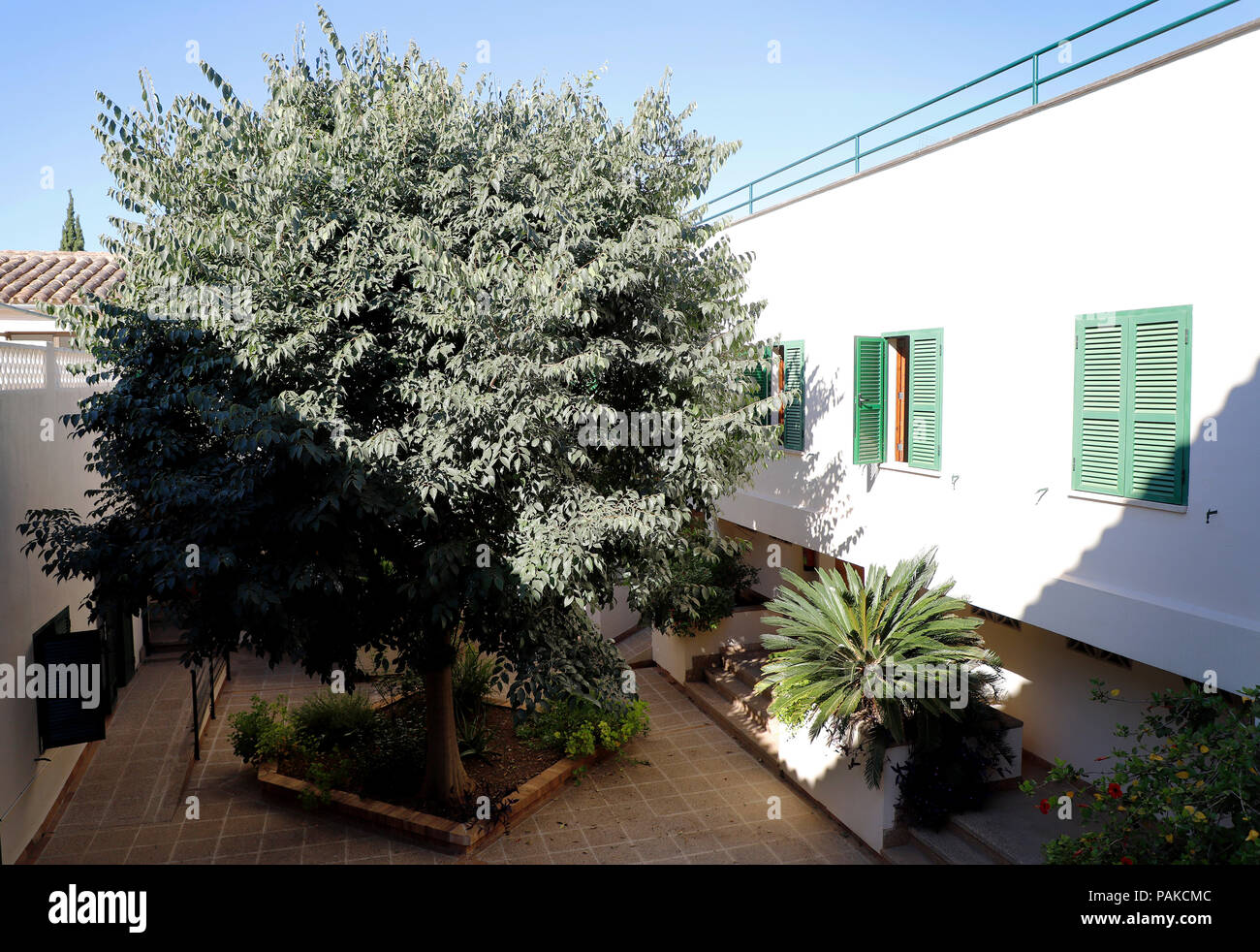 Son rapinya hi-res stock photography and images - Alamy