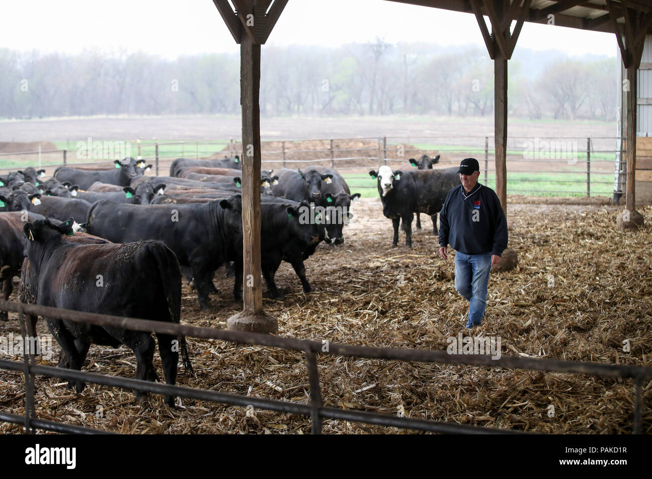 Raised bill hi-res stock photography and images - Alamy