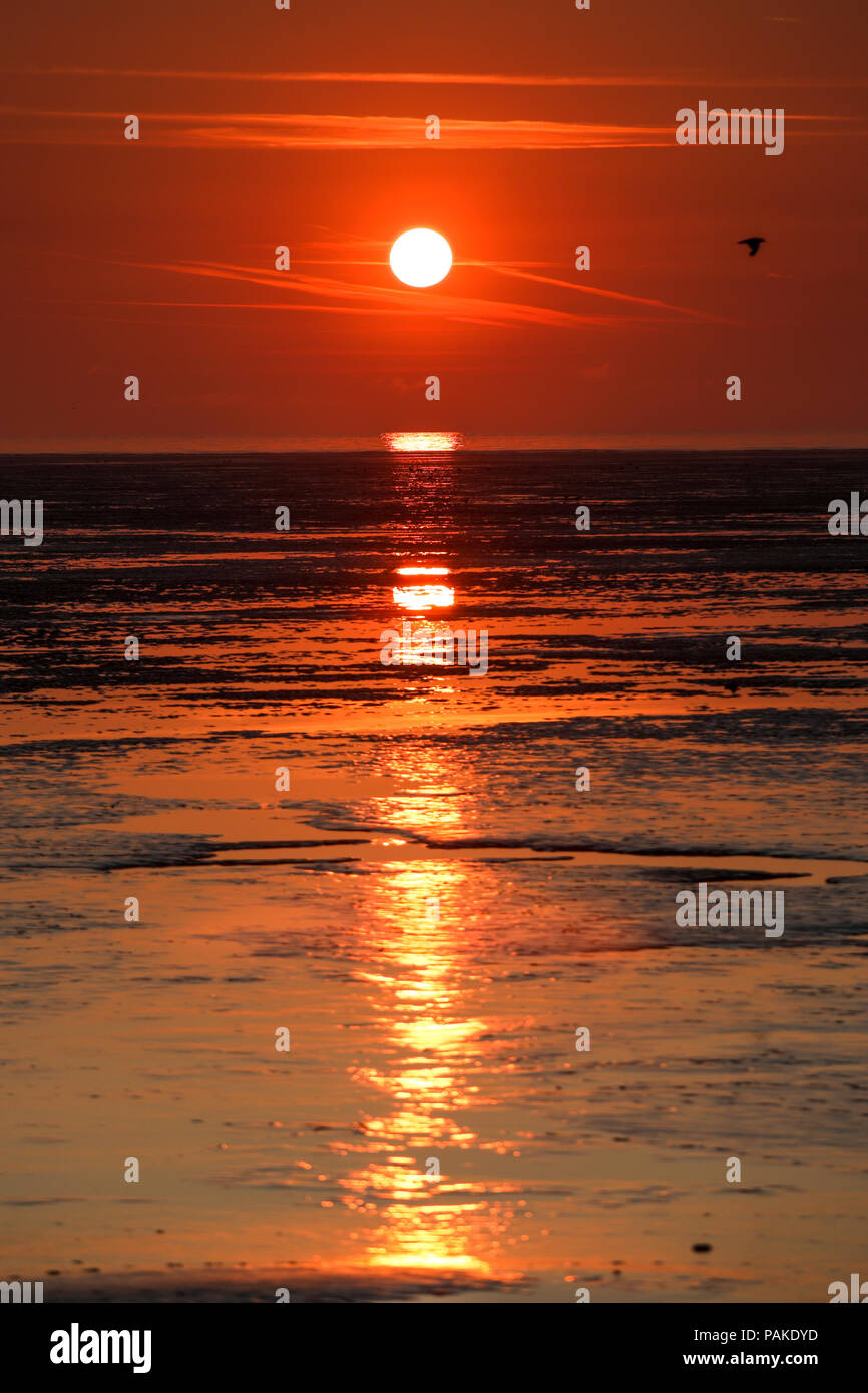 Shinepix hi-res stock photography and images - Alamy
