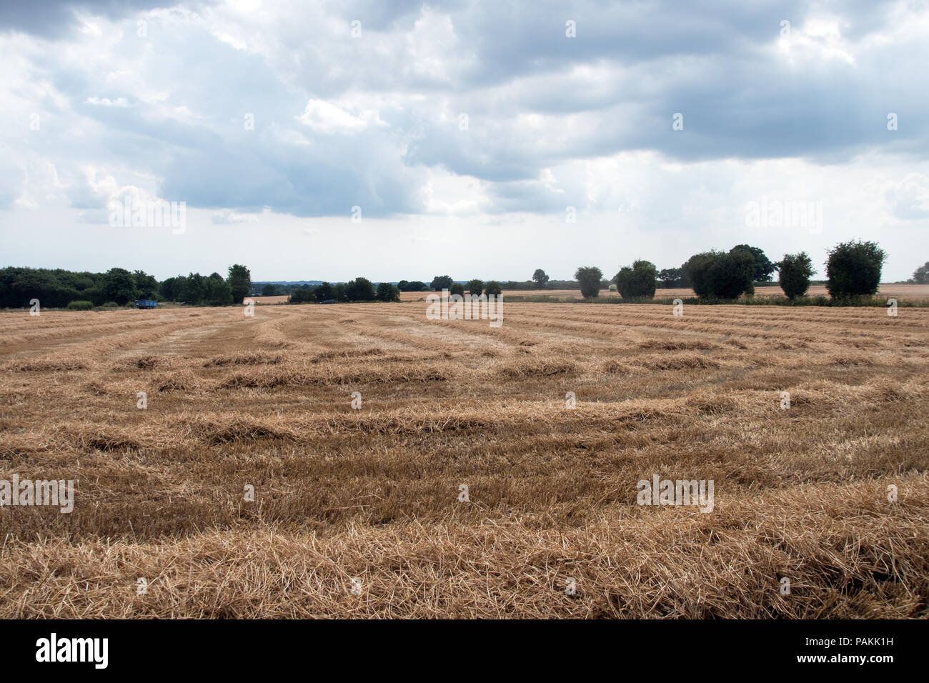 Crop values hi-res stock photography and images - Alamy