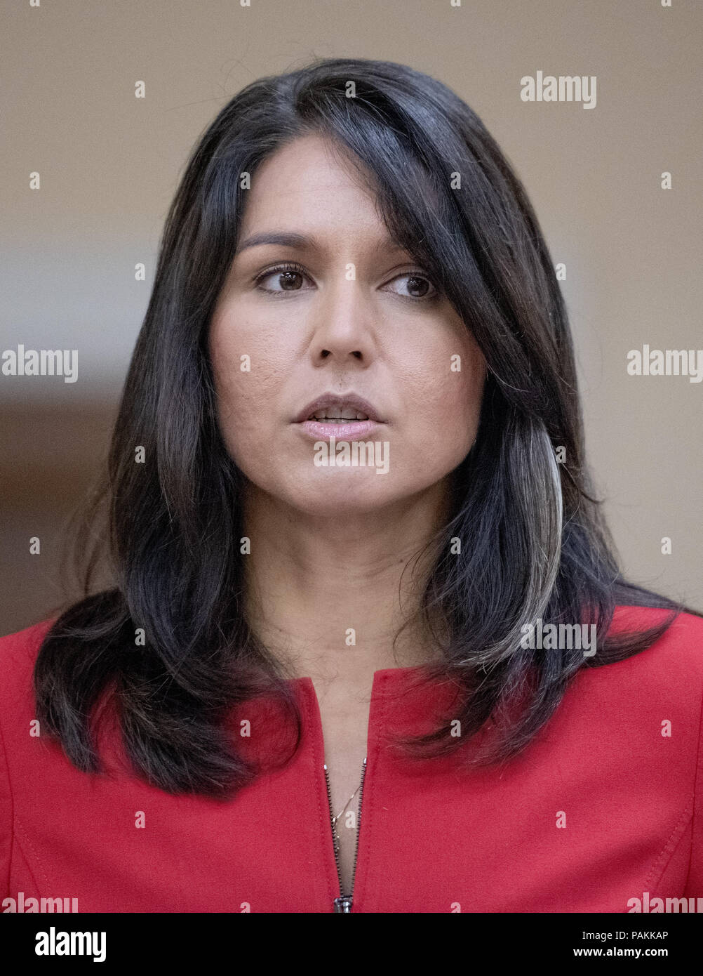 Representative Tulsi Gabbard High Resolution Stock Photography and ...