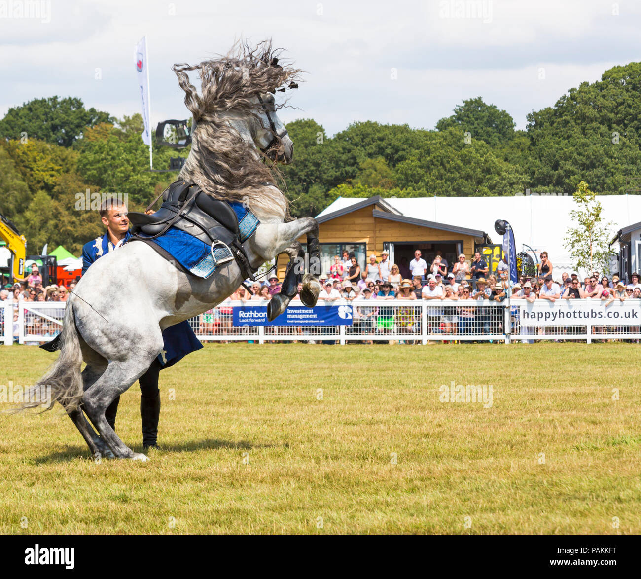 Ben atkinson horse hi-res stock photography and images - Alamy