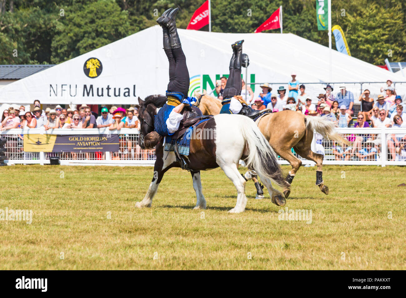 Stunt Horses High Resolution Stock Photography and Images - Alamy