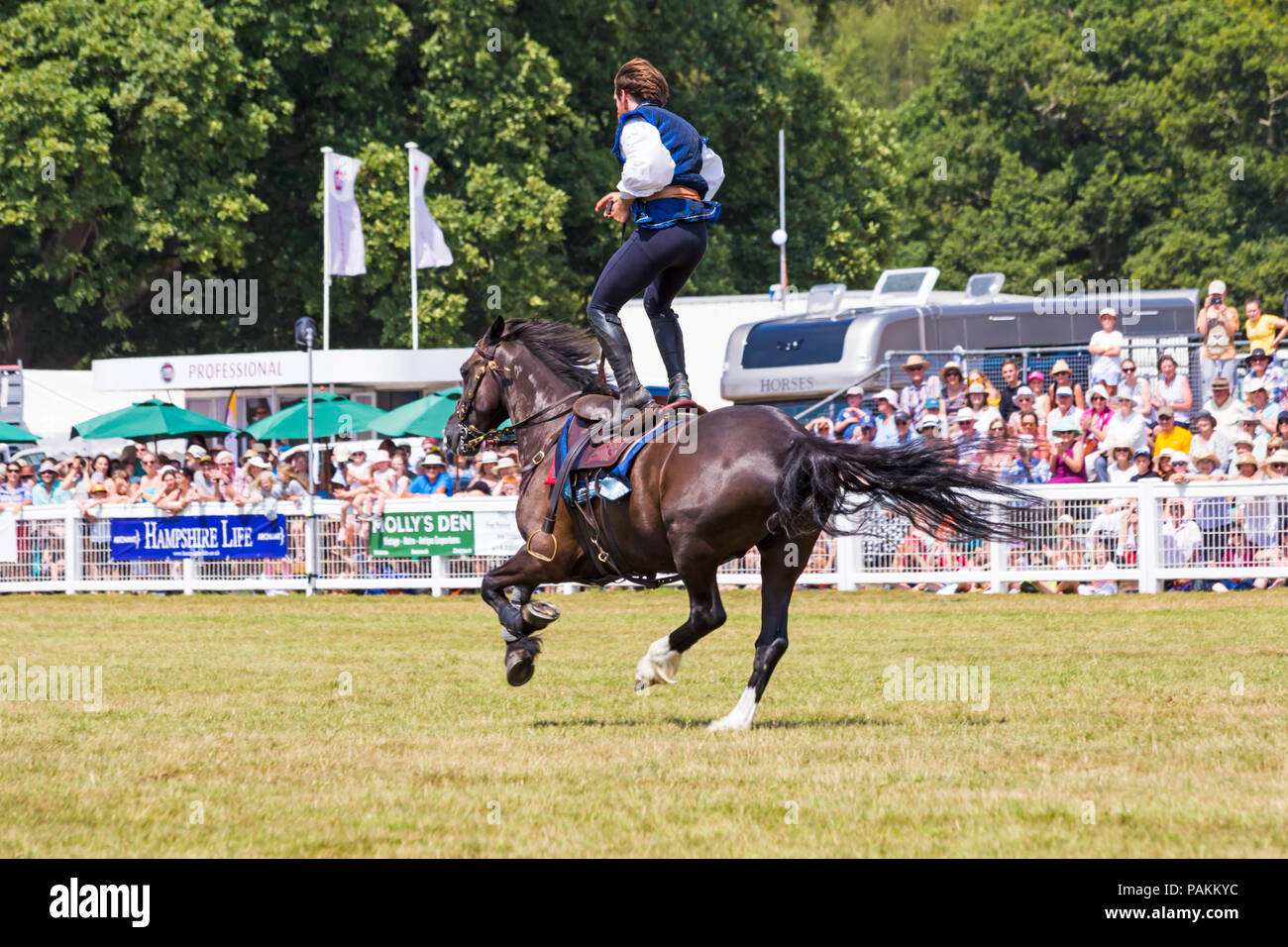 Brockenhurst new forest riding hi-res stock photography and images - Alamy