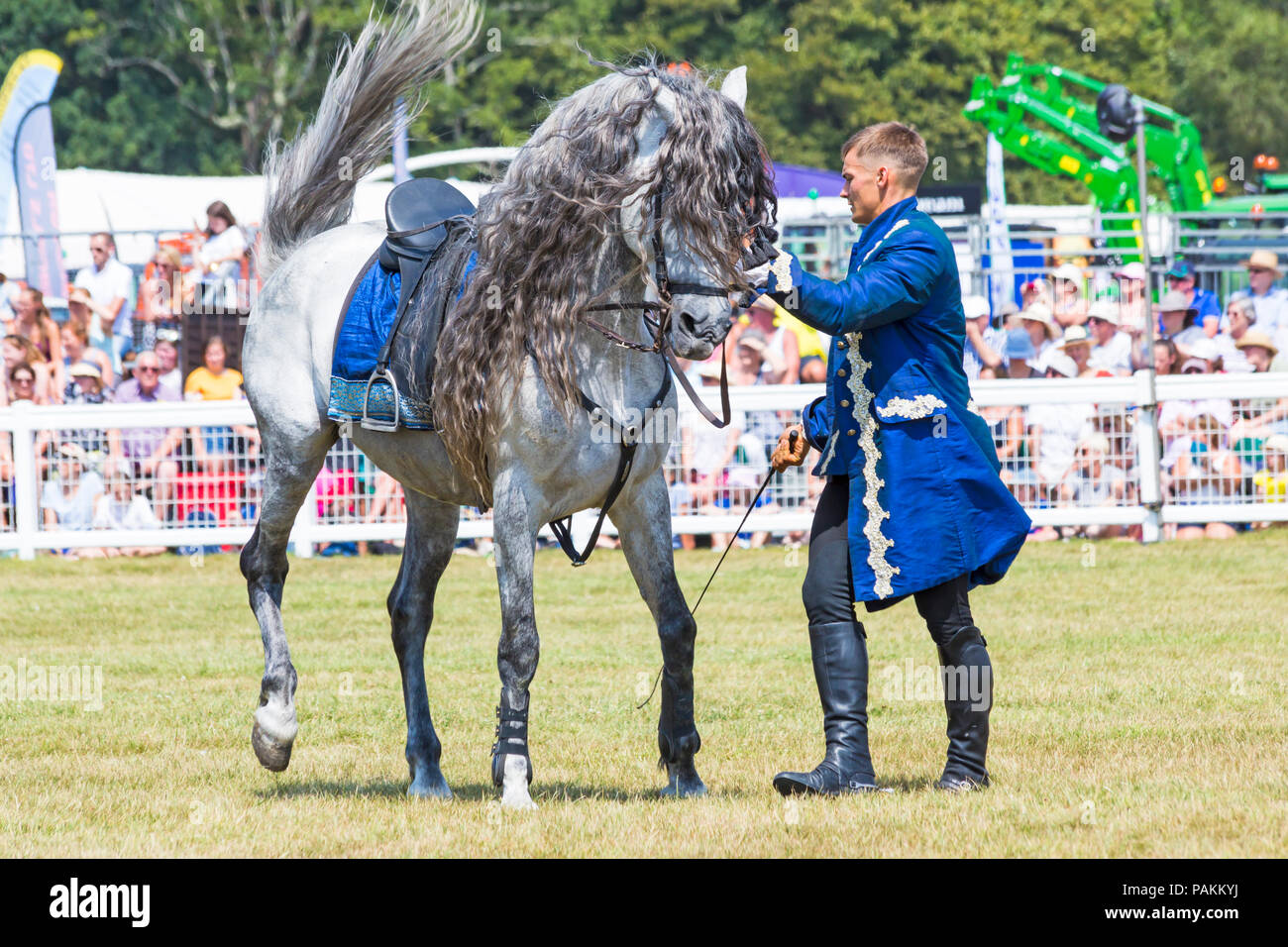 Ben atkinson horse hi-res stock photography and images - Alamy