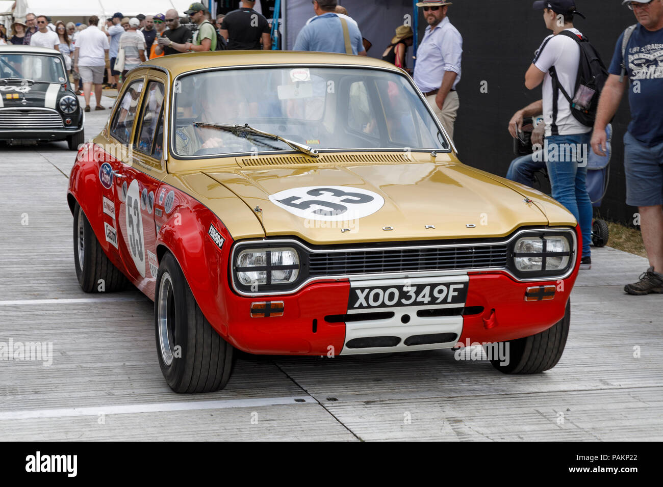 The Allan Mann Racing 1968 Ford Escort Twin Cam with driver Tom ...