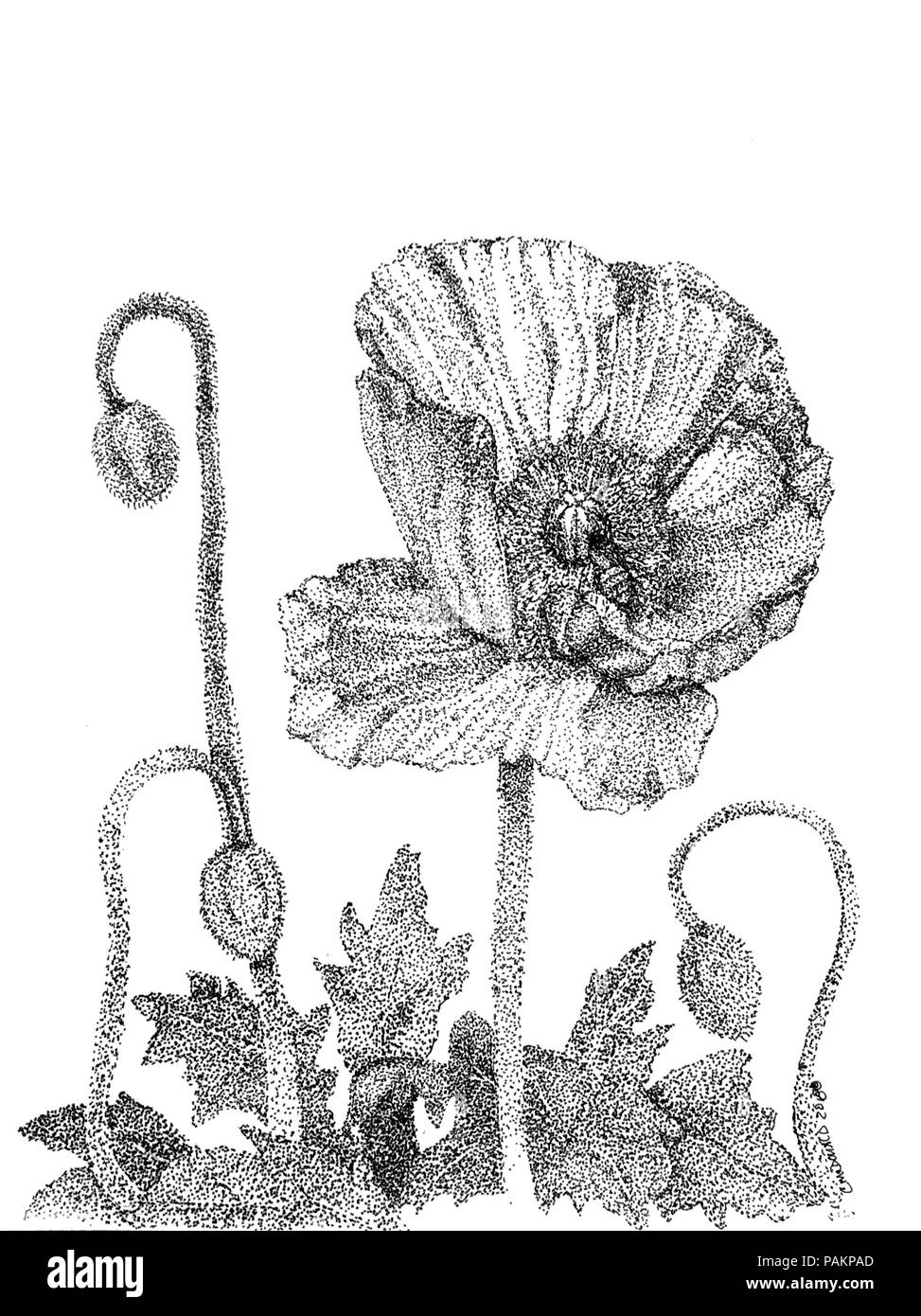 Ink patch hi-res stock photography and images - Alamy