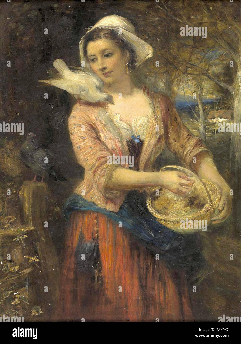 Marshall thomas falcon hi-res stock photography and images - Alamy