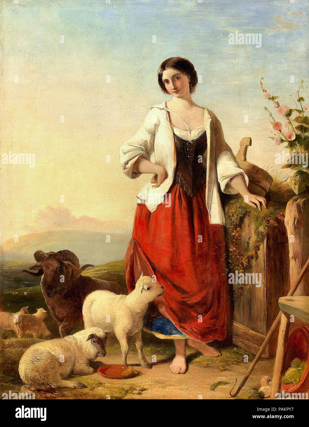 Marshall thomas falcon hi-res stock photography and images - Alamy