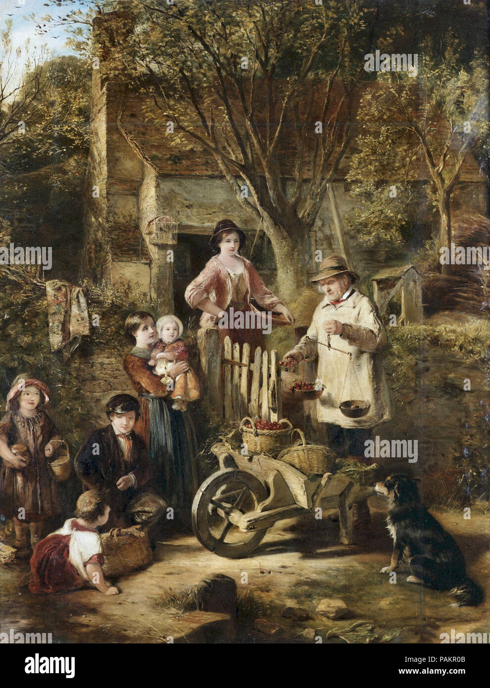 Marshall thomas falcon hi-res stock photography and images - Alamy