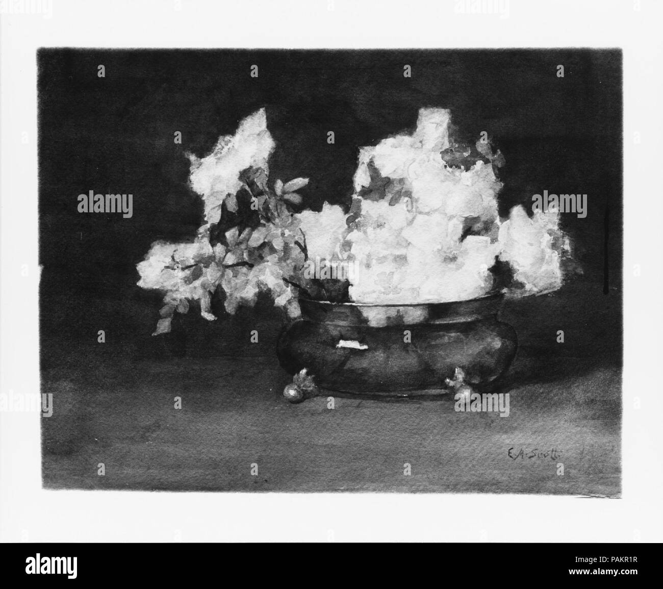 Yellow Roses. Artist: Emily Maria Spaford Scott (1832-1915). Dimensions ...