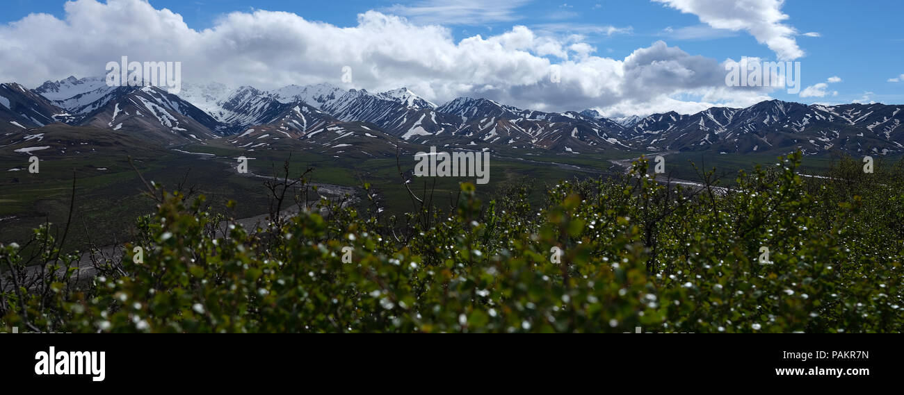 Alaskan Range High Resolution Stock Photography and Images - Alamy