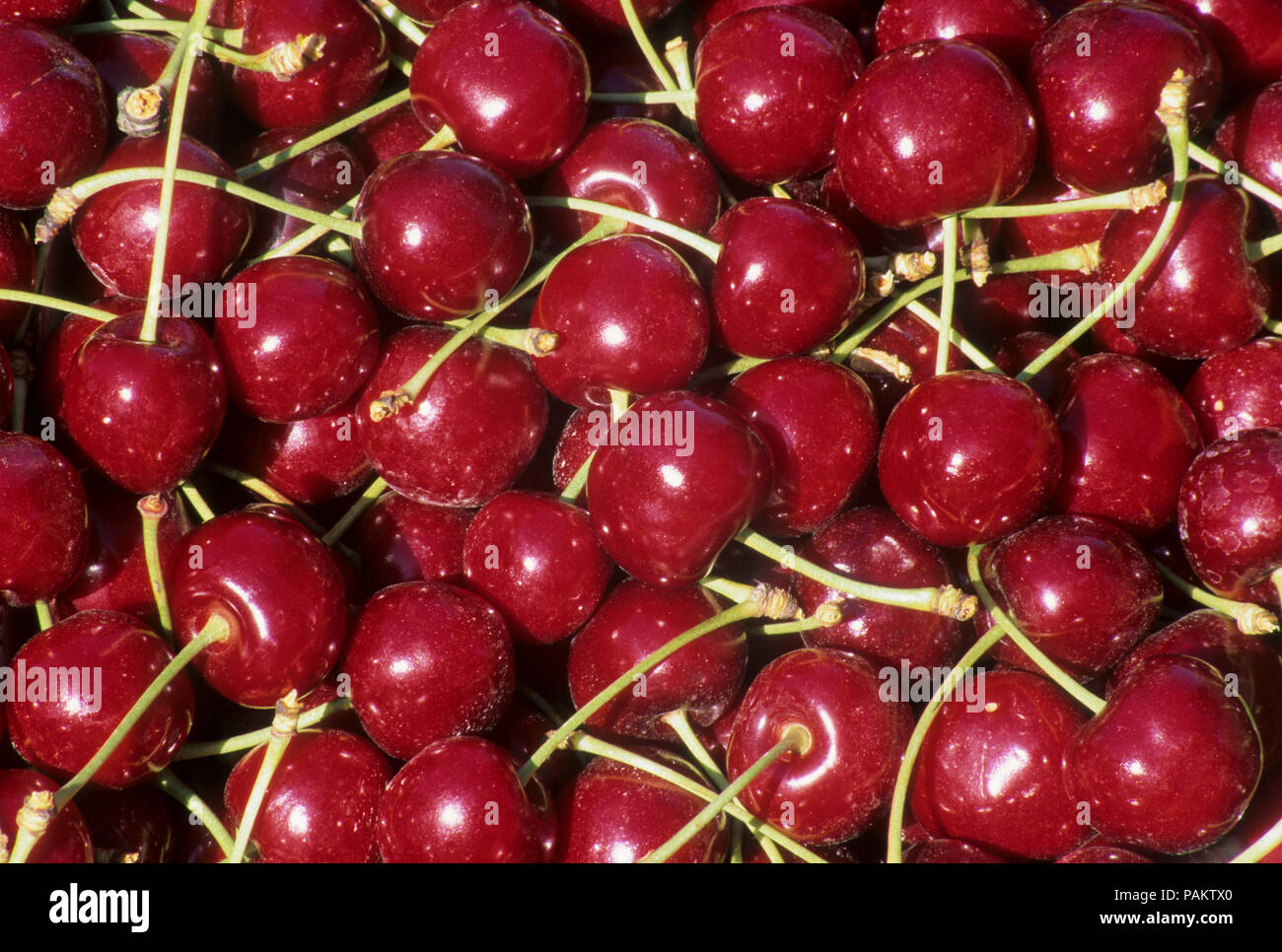 Bing Cherries High Resolution Stock Photography and Images - Alamy