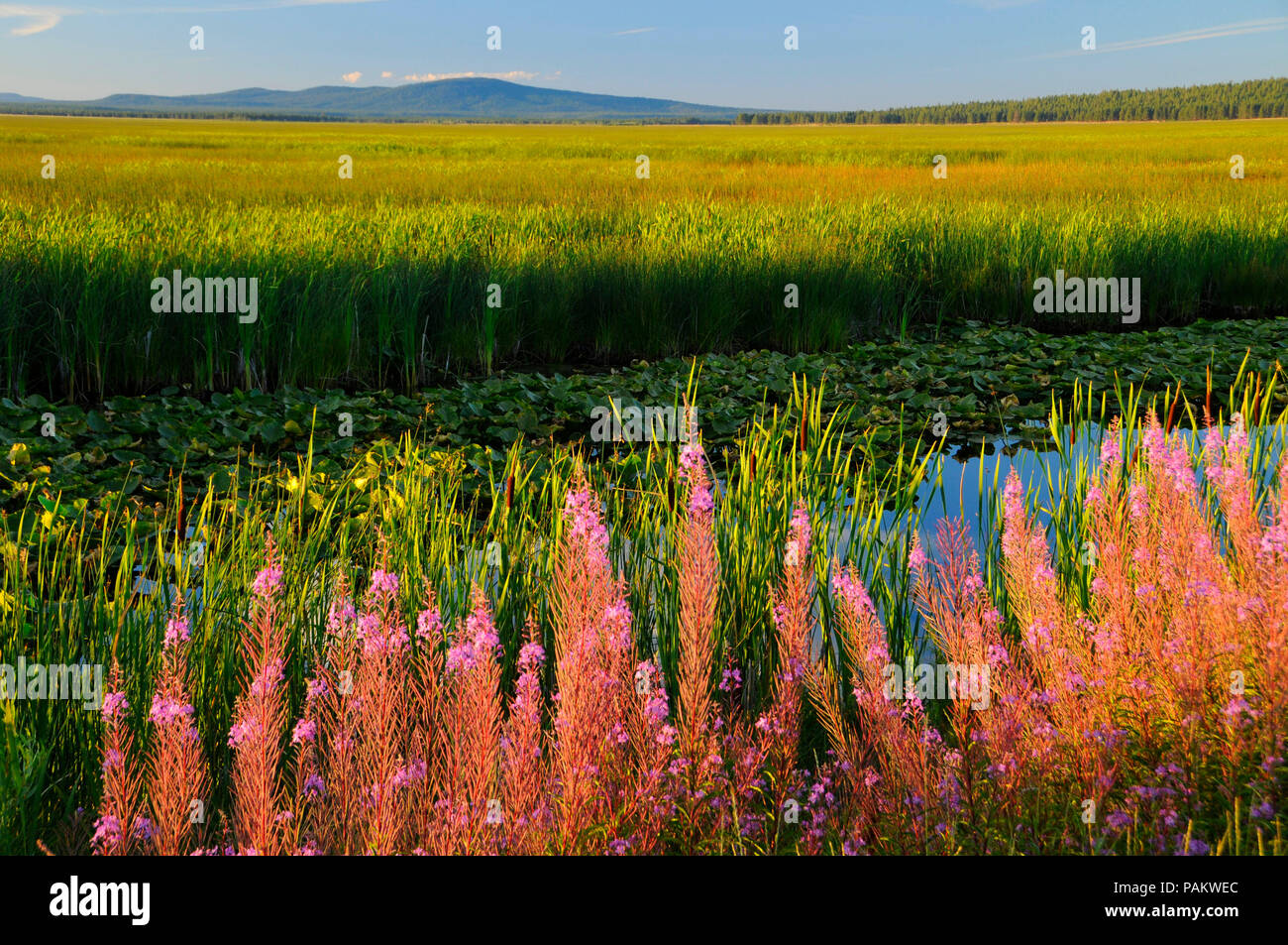 Klamath forest national wildlife refuge hi-res stock photography and ...