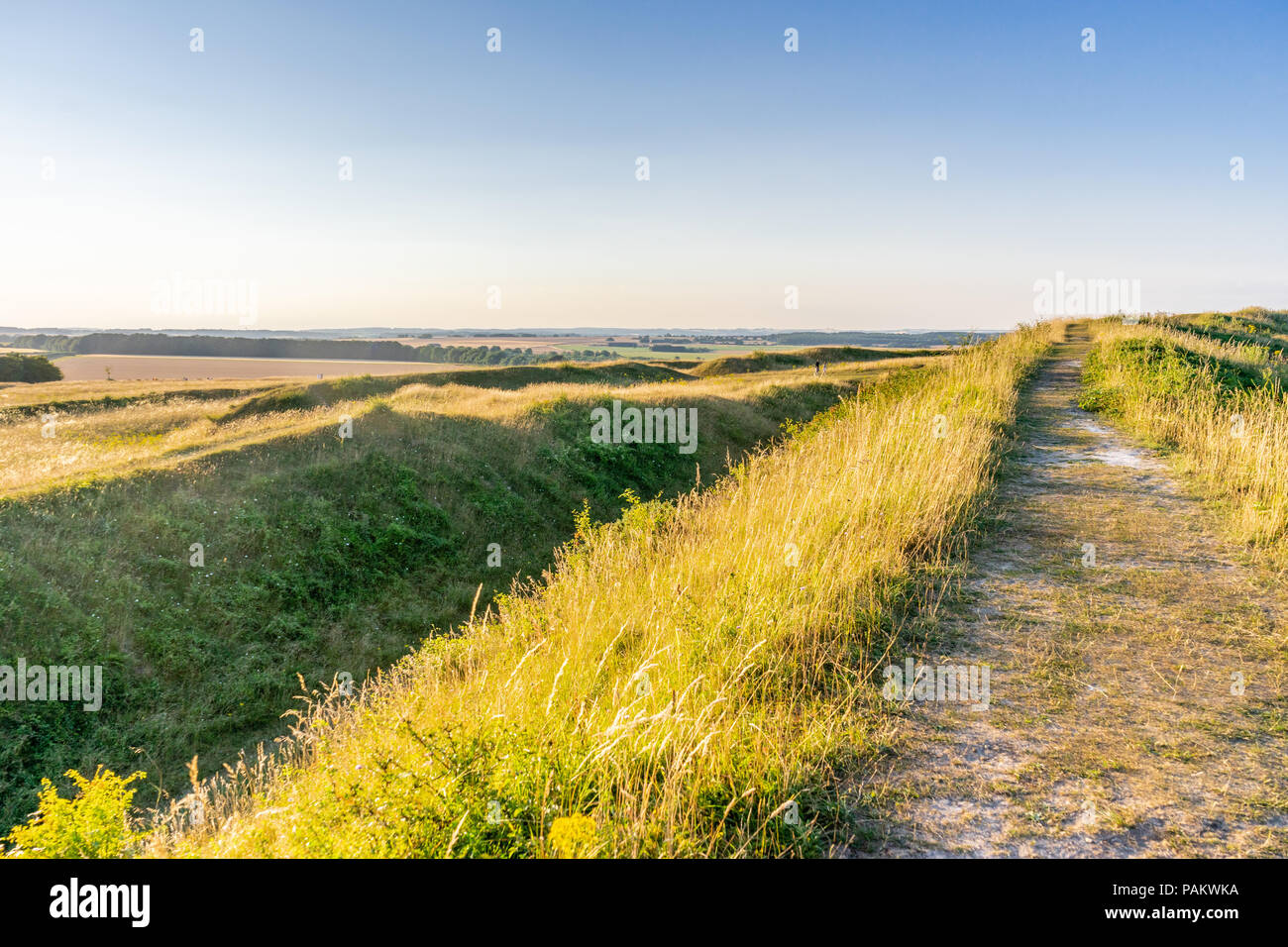 Badbury rings hi-res stock photography and images - Alamy