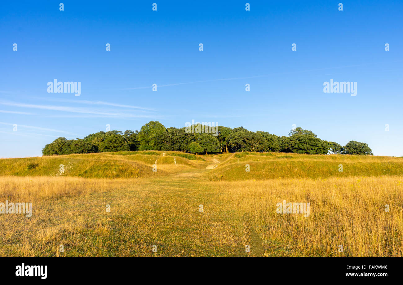 View to the top of Badbury Rings during July 2018 - an Iron Age hill ...