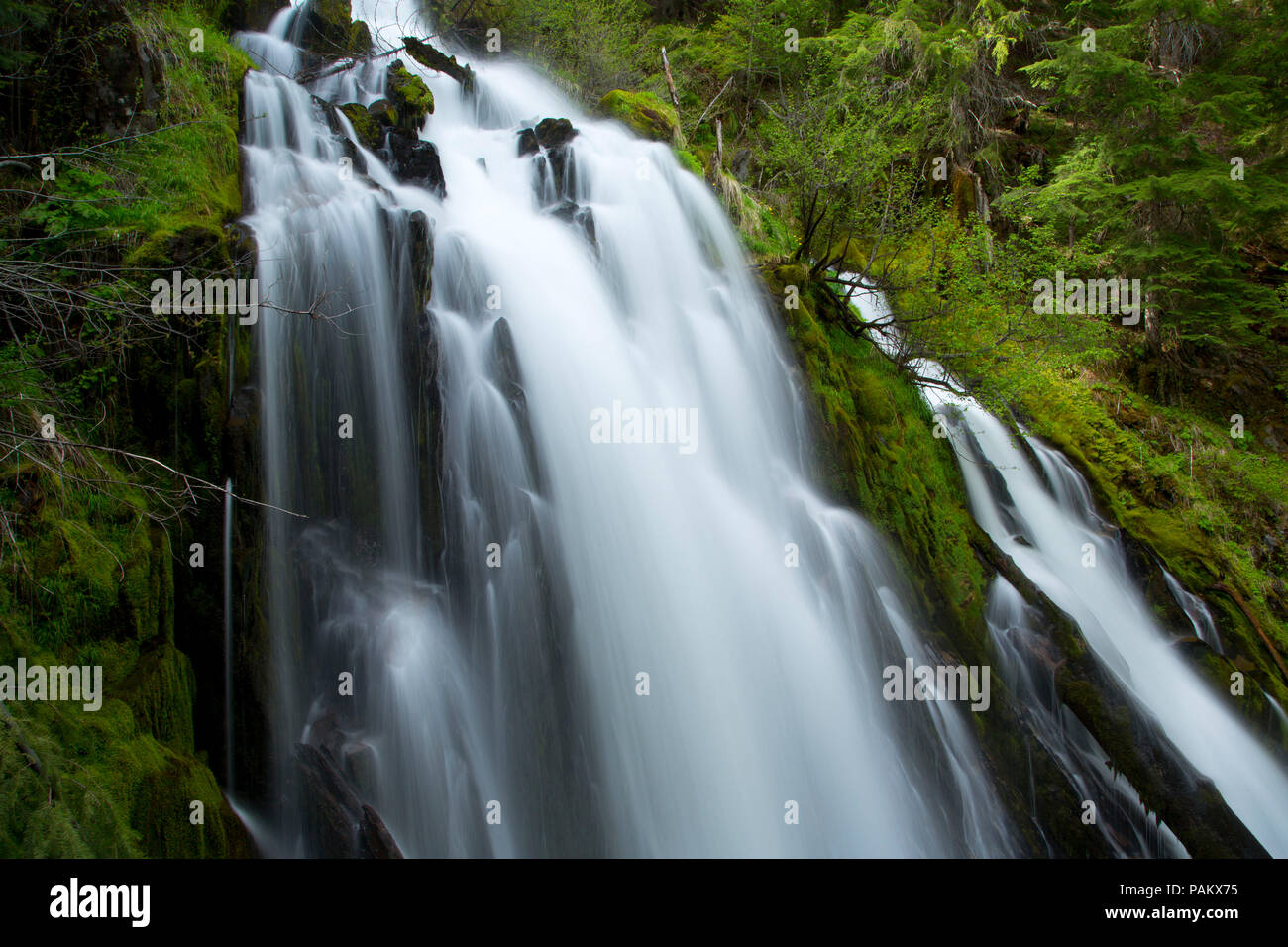 National Creek Falls, Rogue River National Forest, Oregon Stock Photo ...